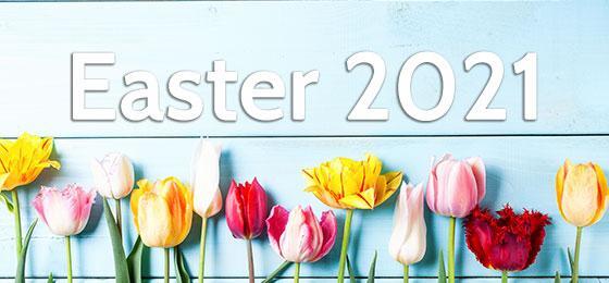 Book Jersey Holidays & Breaks 2020/2021 | JerseyTravel.com